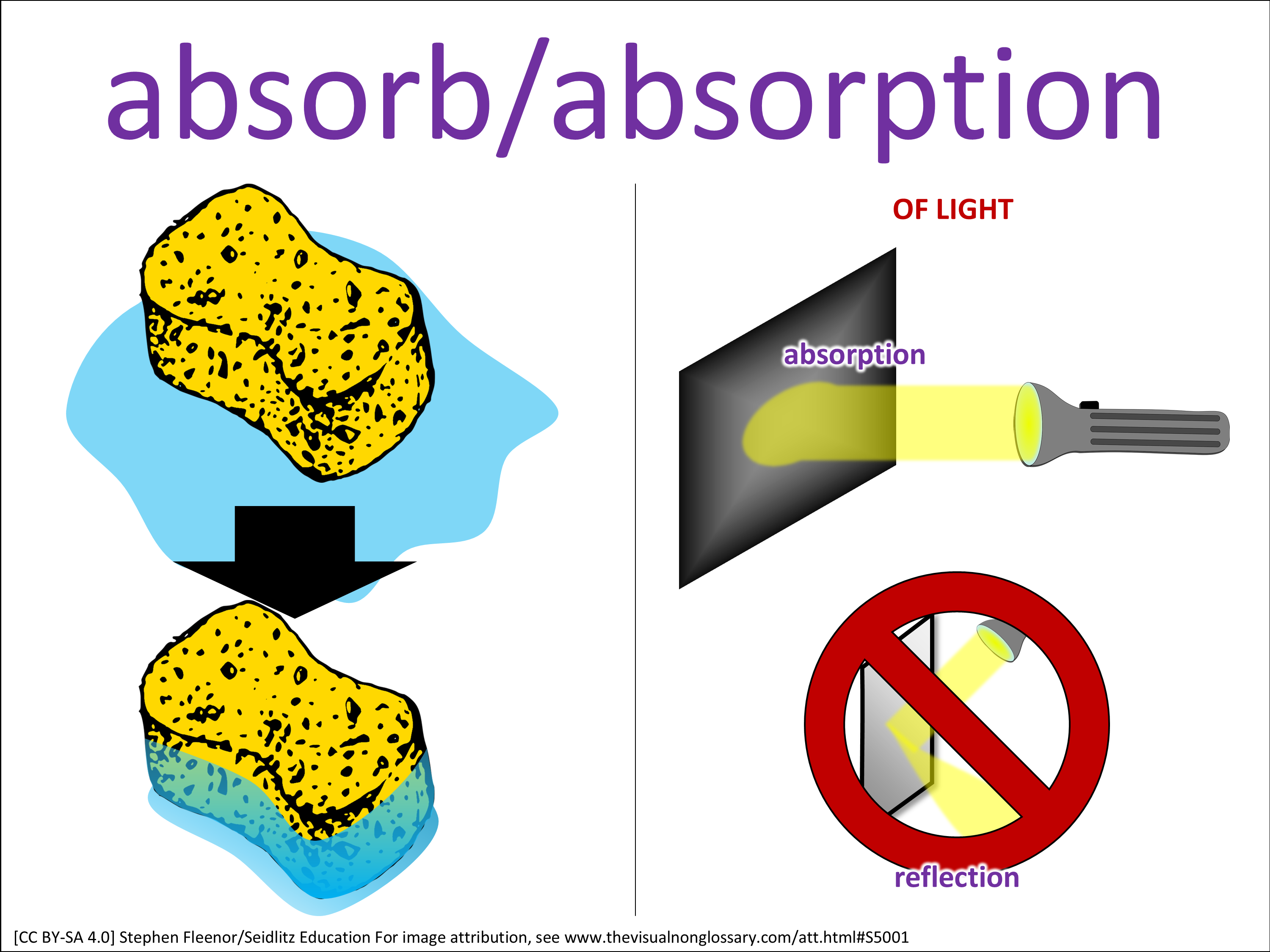 Science Visuals: The Visual Non-Glossary