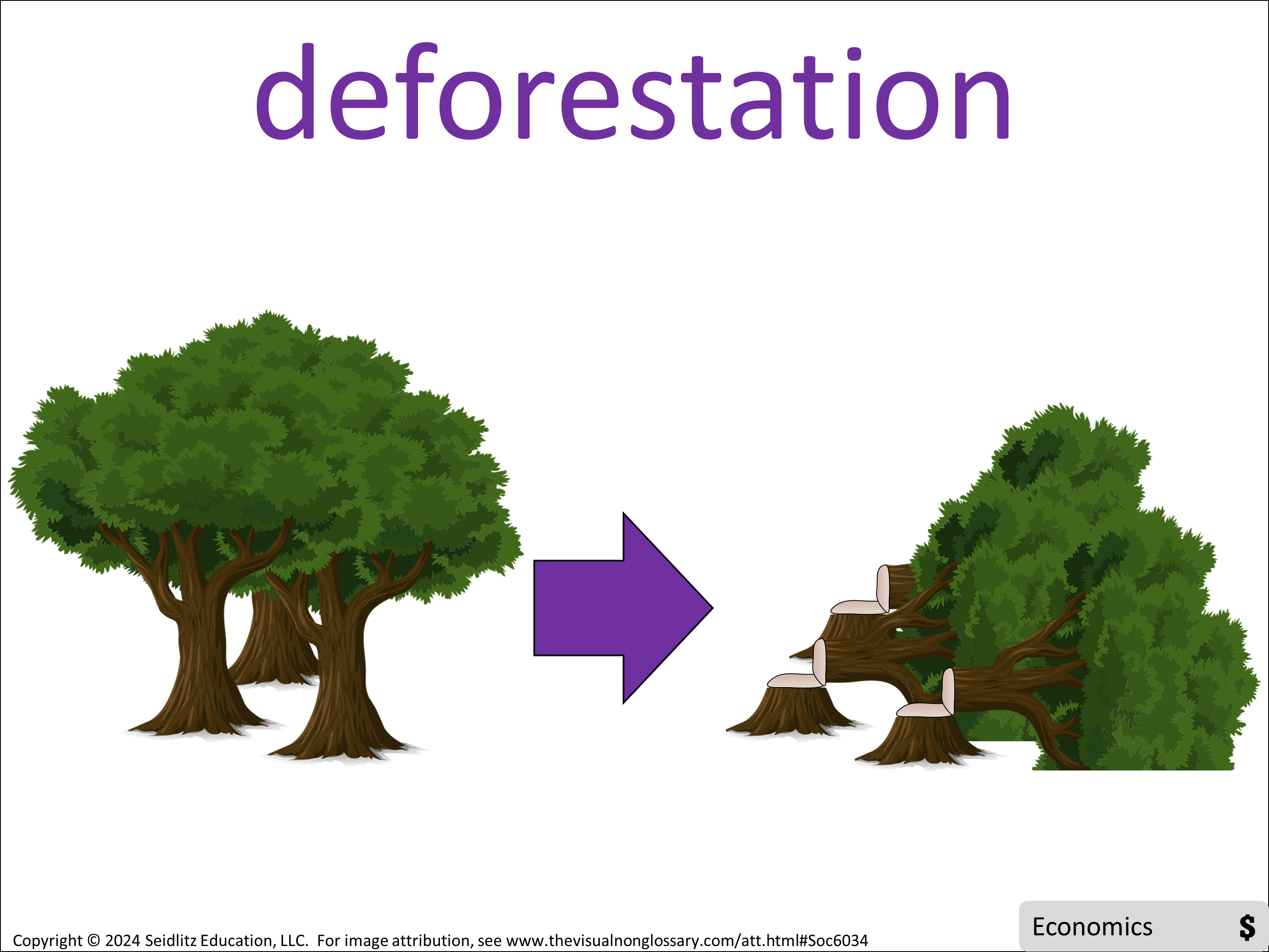 Social Studies Visuals: The Visual Non-Glossary