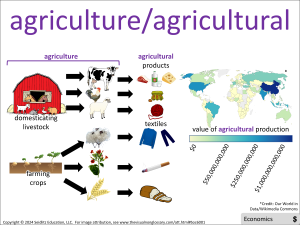 Social Studies Visuals: The Visual Non-Glossary