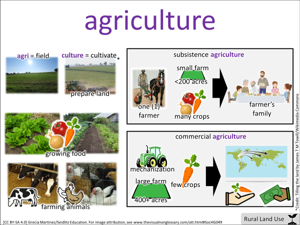 Social Studies Visuals: The Visual Non-Glossary